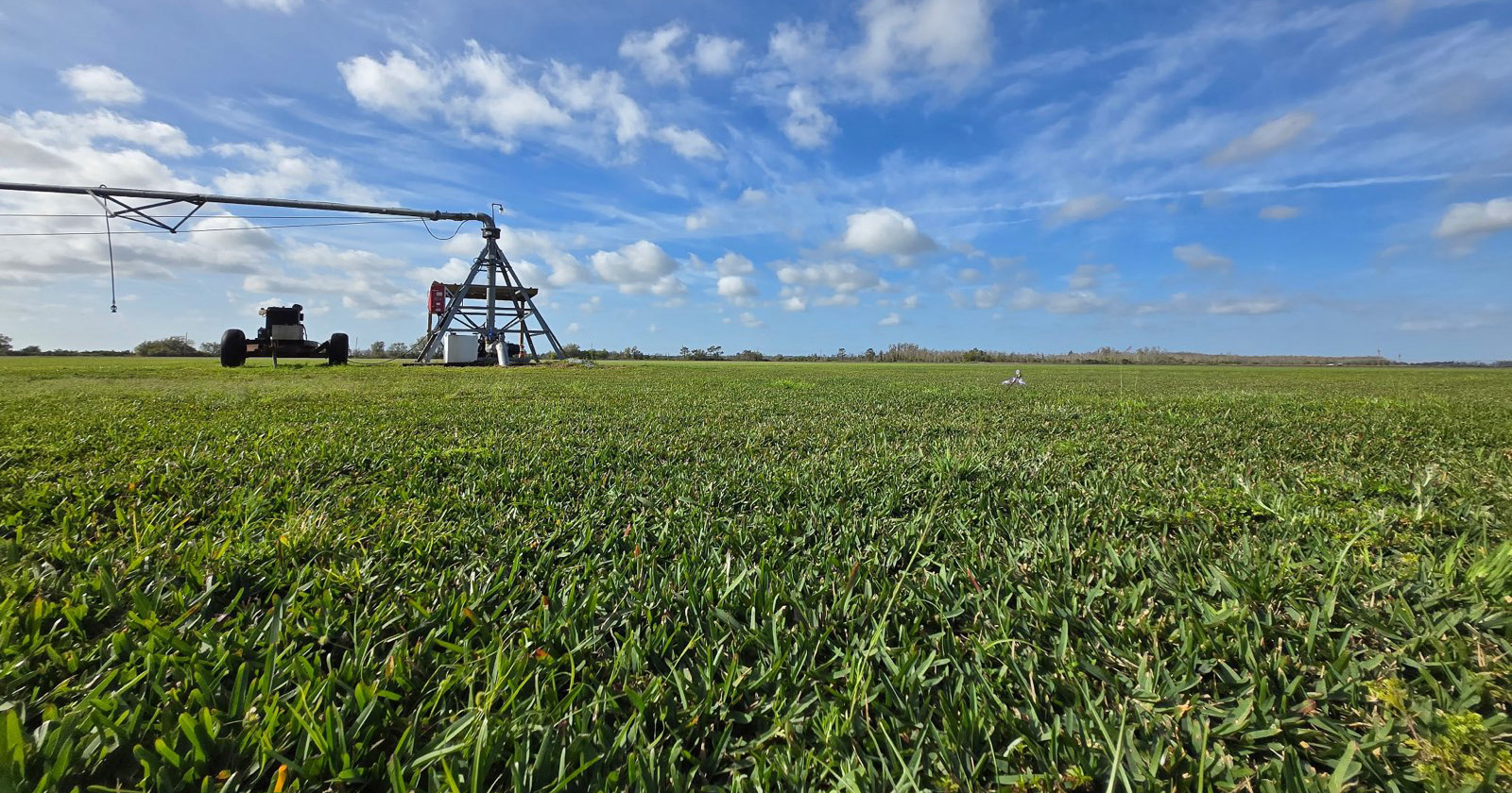 Sod Farm Broker - Buy and Sell Sod Farms