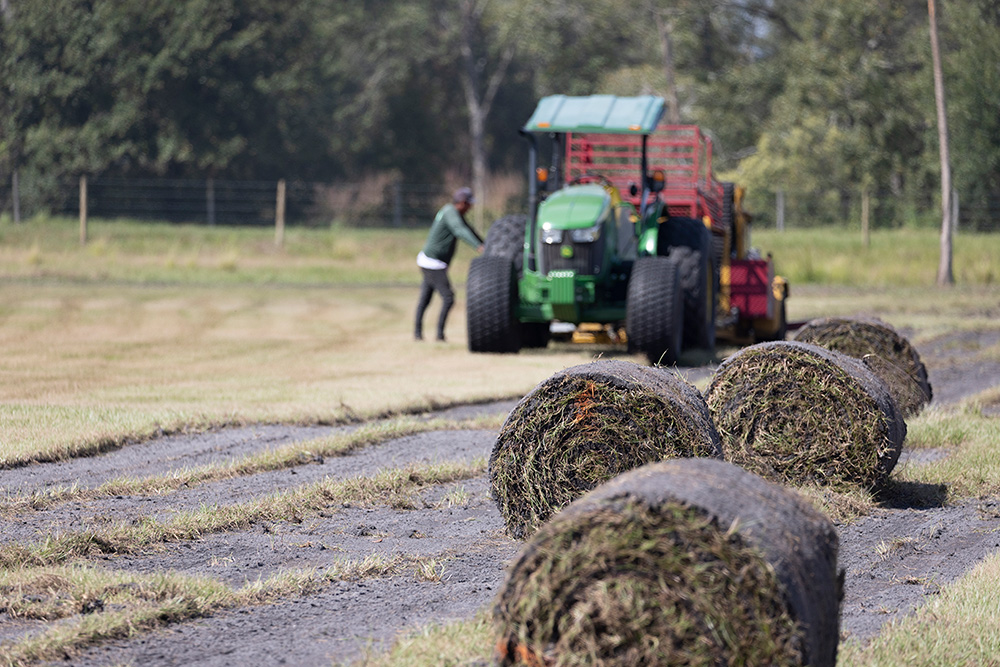 2025 Sod Market Shifts and Investment Opportunities
